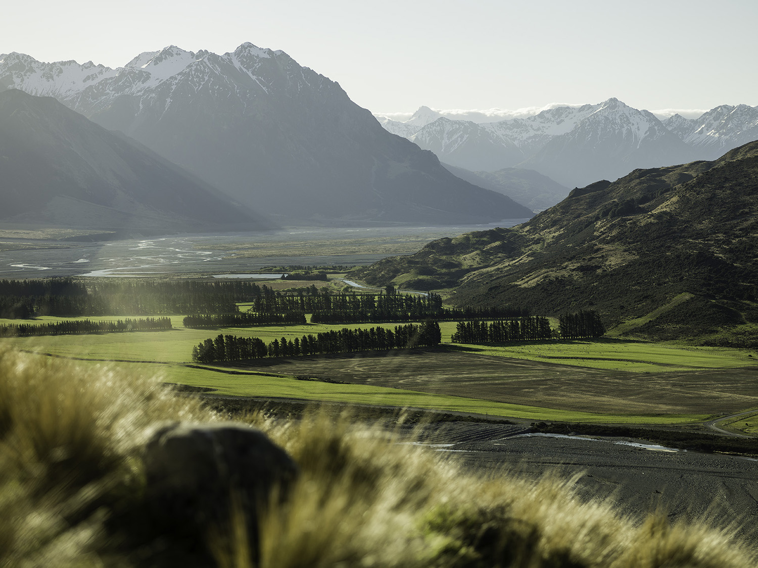 Alliance Group Director Nominations 2020 Open | Alliance Group NZ
