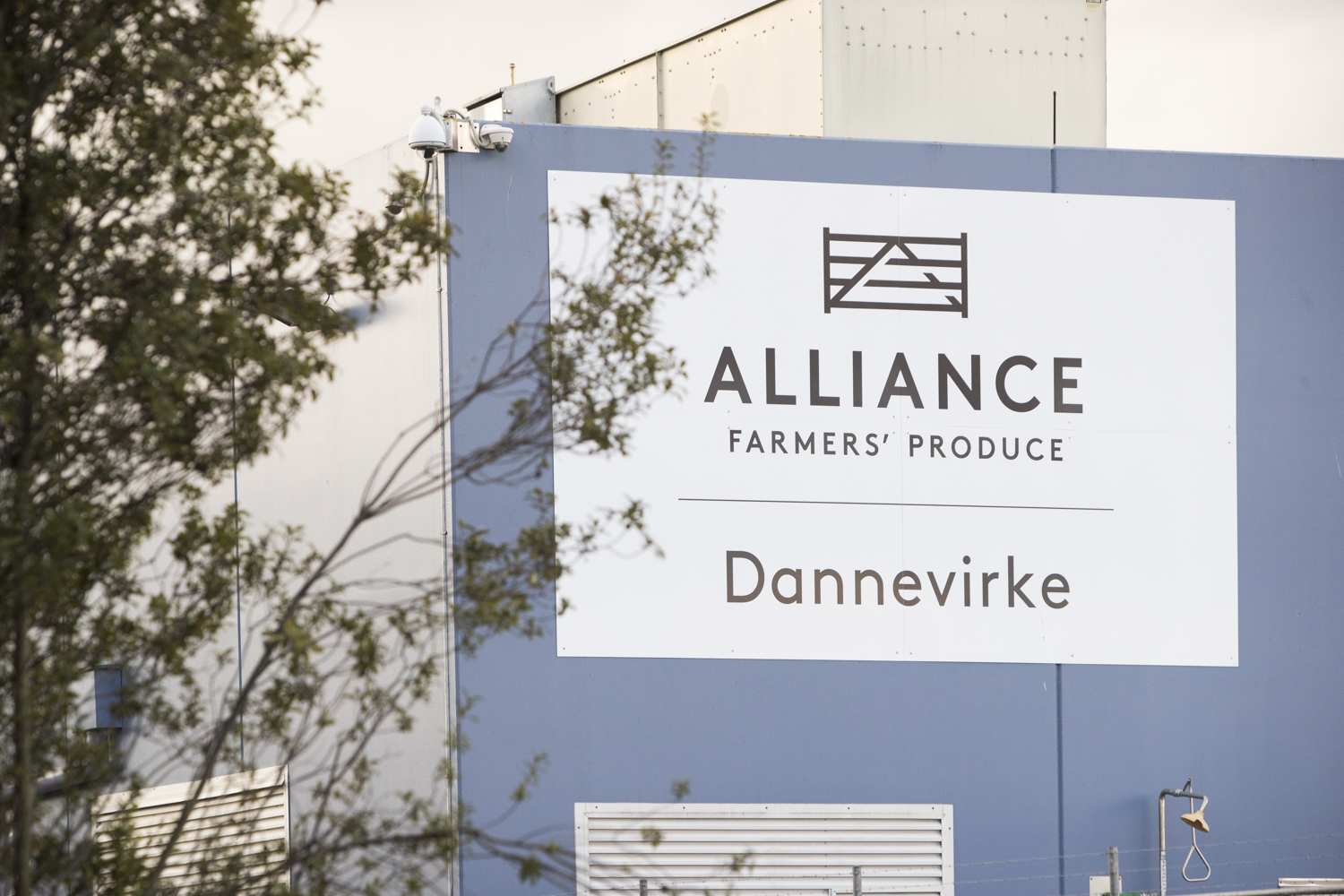 Alliance Group Invests In Dannevirke Plant And Creates 35 Regional Jobs ...